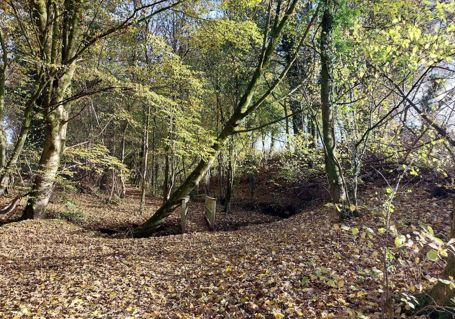 Gartmorn Trail Race – Wee County Harriers