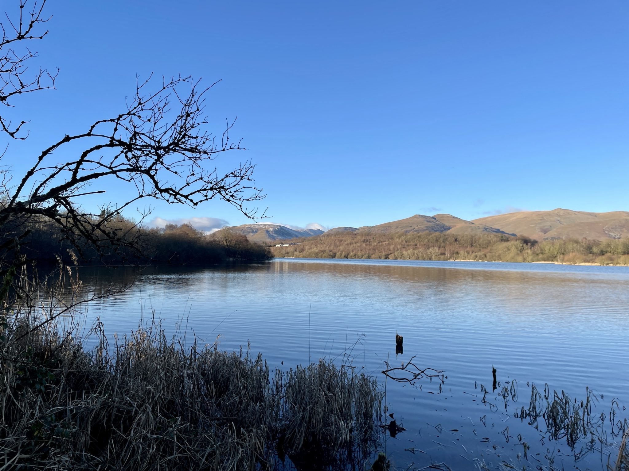 Gartmorn Trail Race – Wee County Harriers